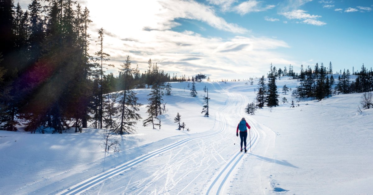 Grunnloven og fjellvett – det er ingen skam å snu - Rett24