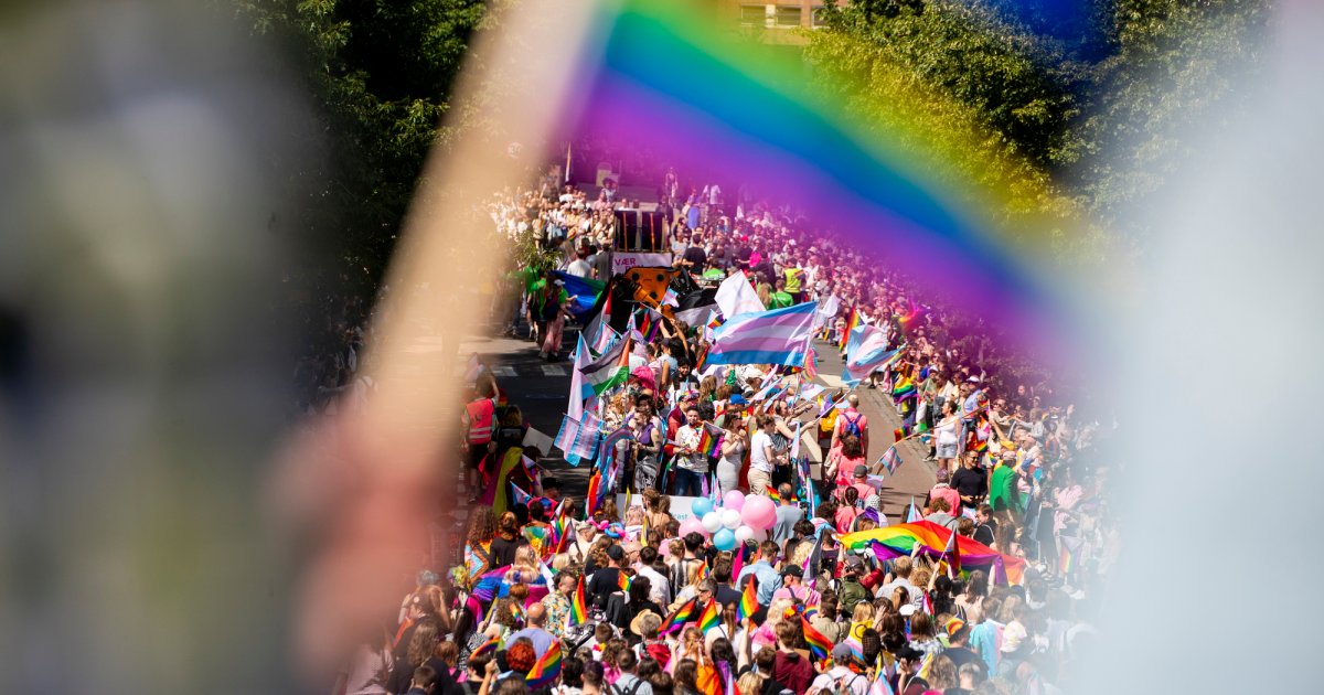 Pride-støtte og inhabilitet hos fagdommere - Rett24