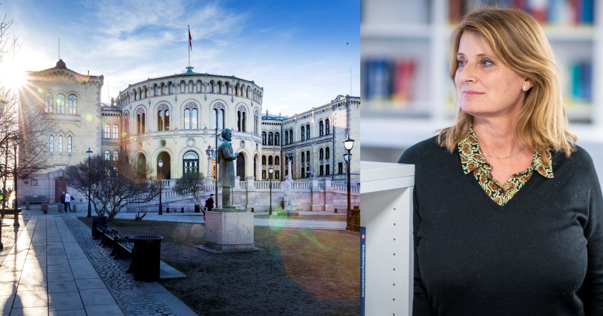 Sivilombudsmannen som partshjelper? - Rett24