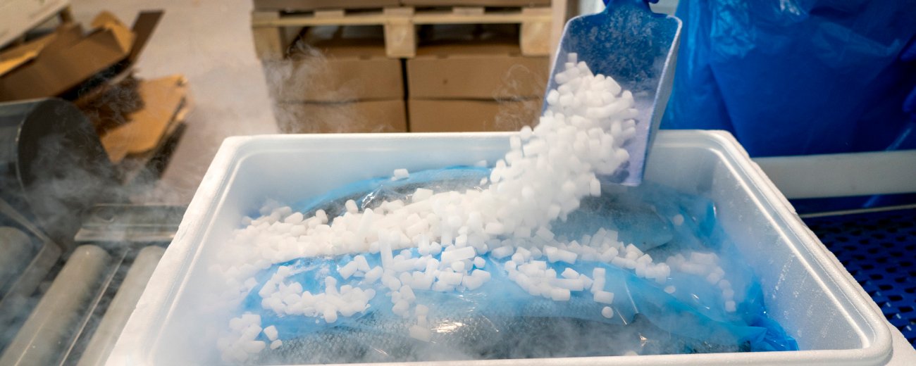 Morten Kjelland blir partner i Kogstad Lunde & Co - Rett24